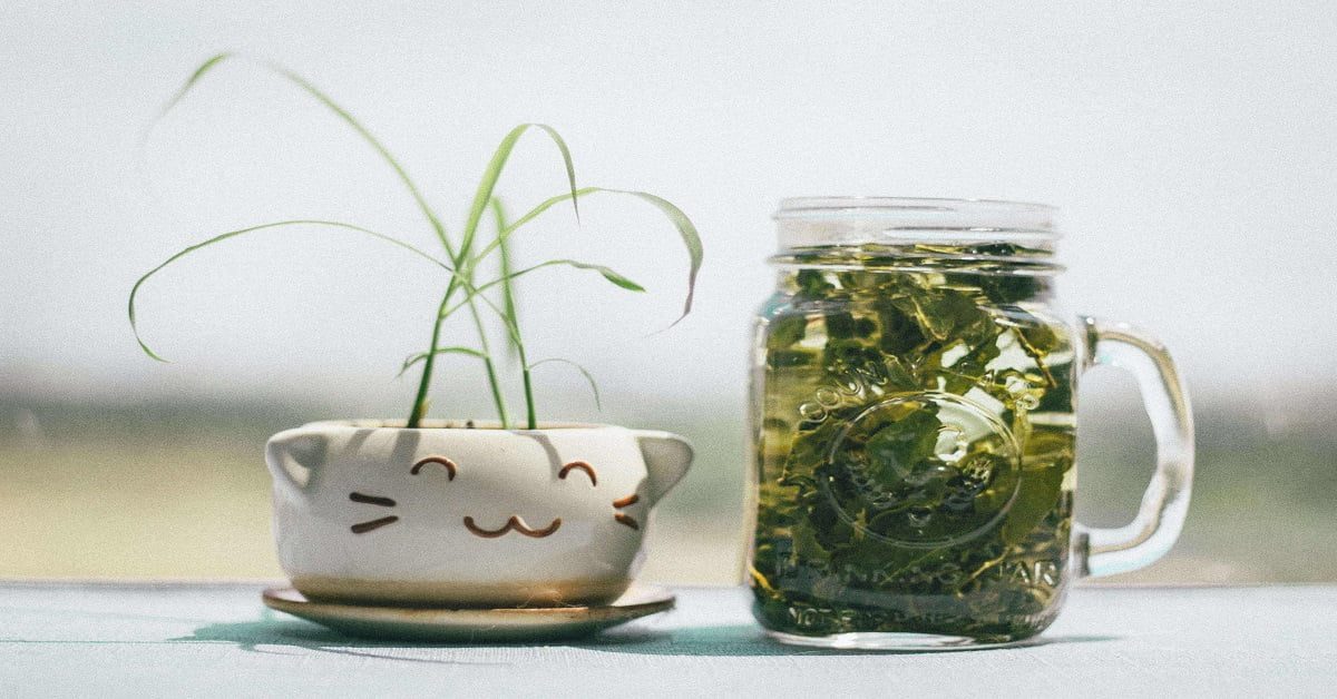11 Benefits Of Green Tea For Skin Number 9 Will Shock You 🤯